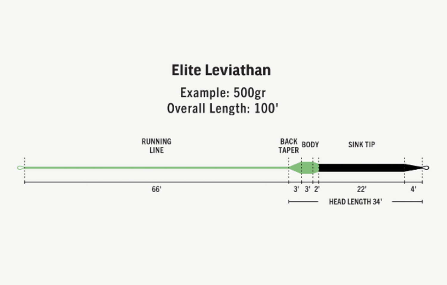 Rio Elite Leviathan 26ft Sink Tip Fly Line | The Fish Hawk - The Fish Hawk