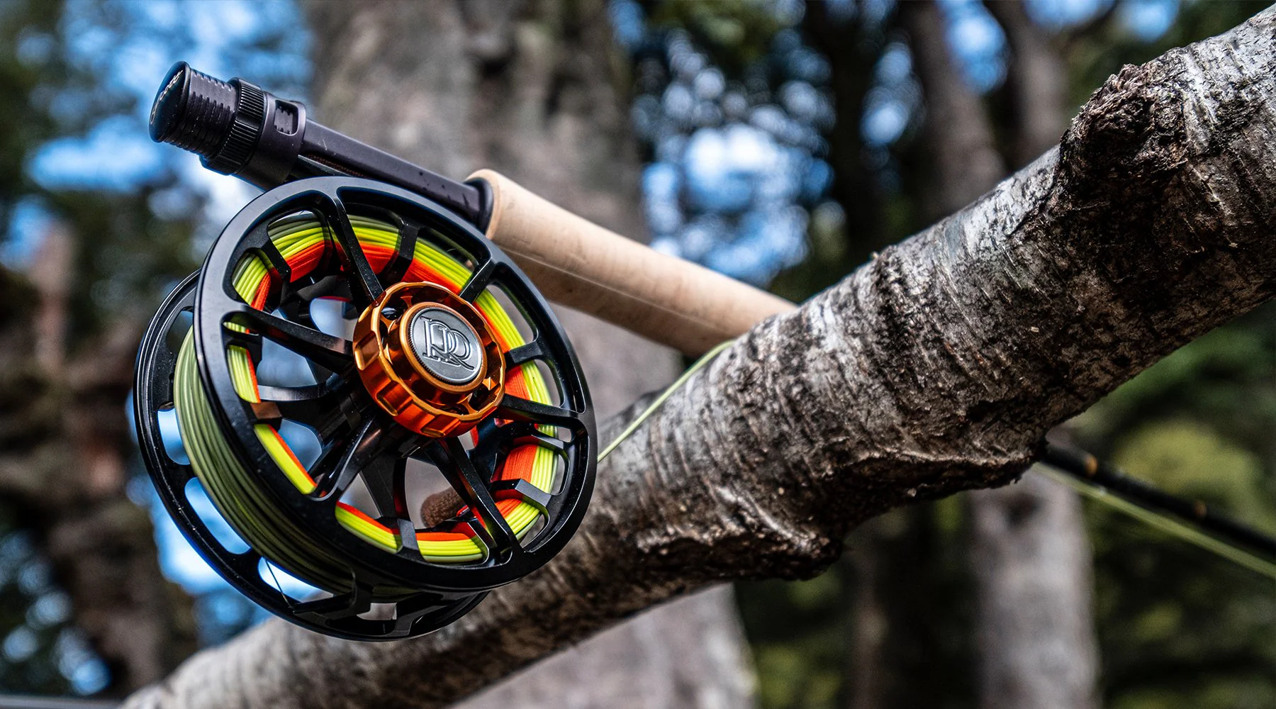 News - Maintaining Your Ross Reel: Essential Care Tips to Ensure ...