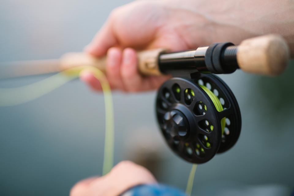 News - How to Choose the Right Fly Line Weight for Your Target Species ...