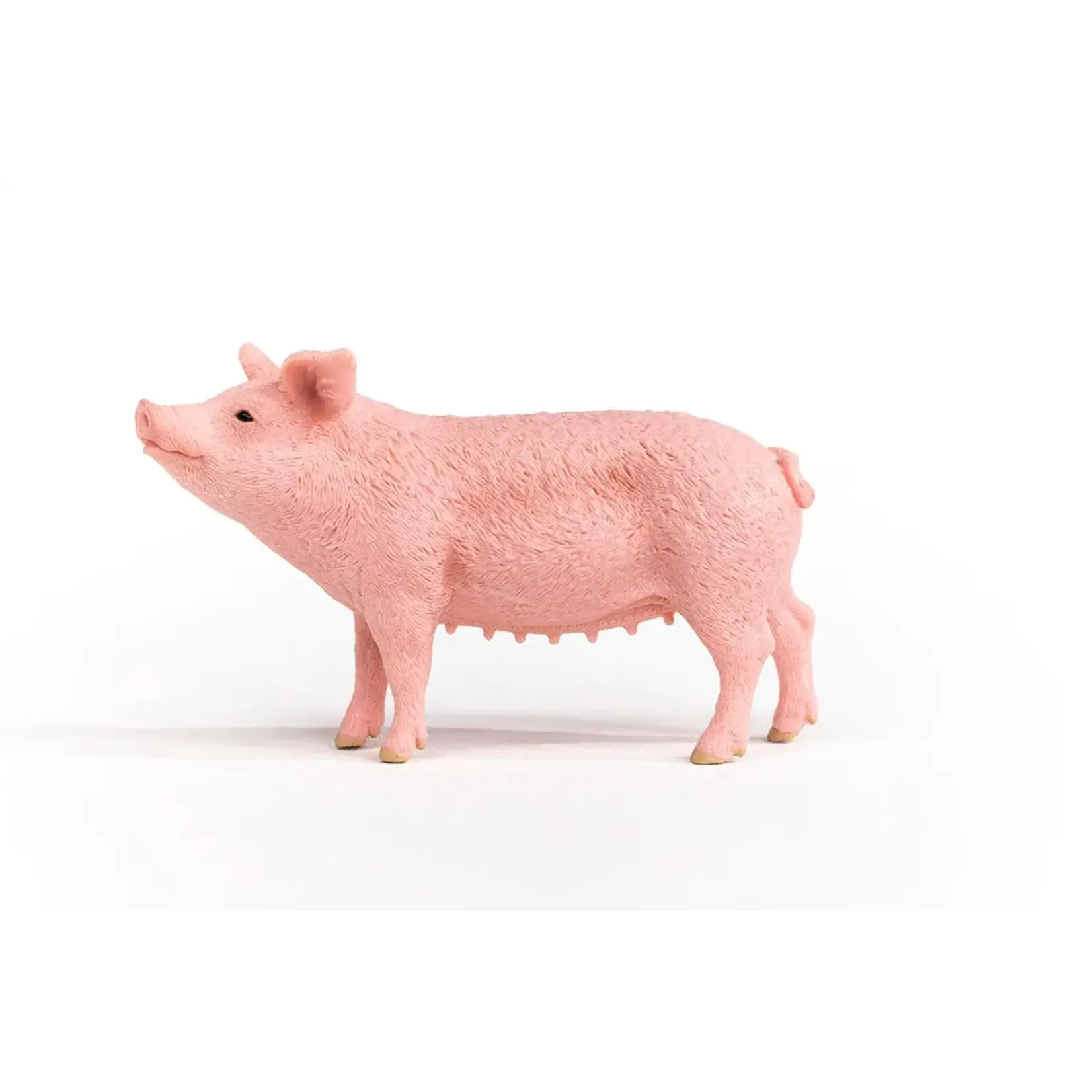 Pig Figure - Toy Joy