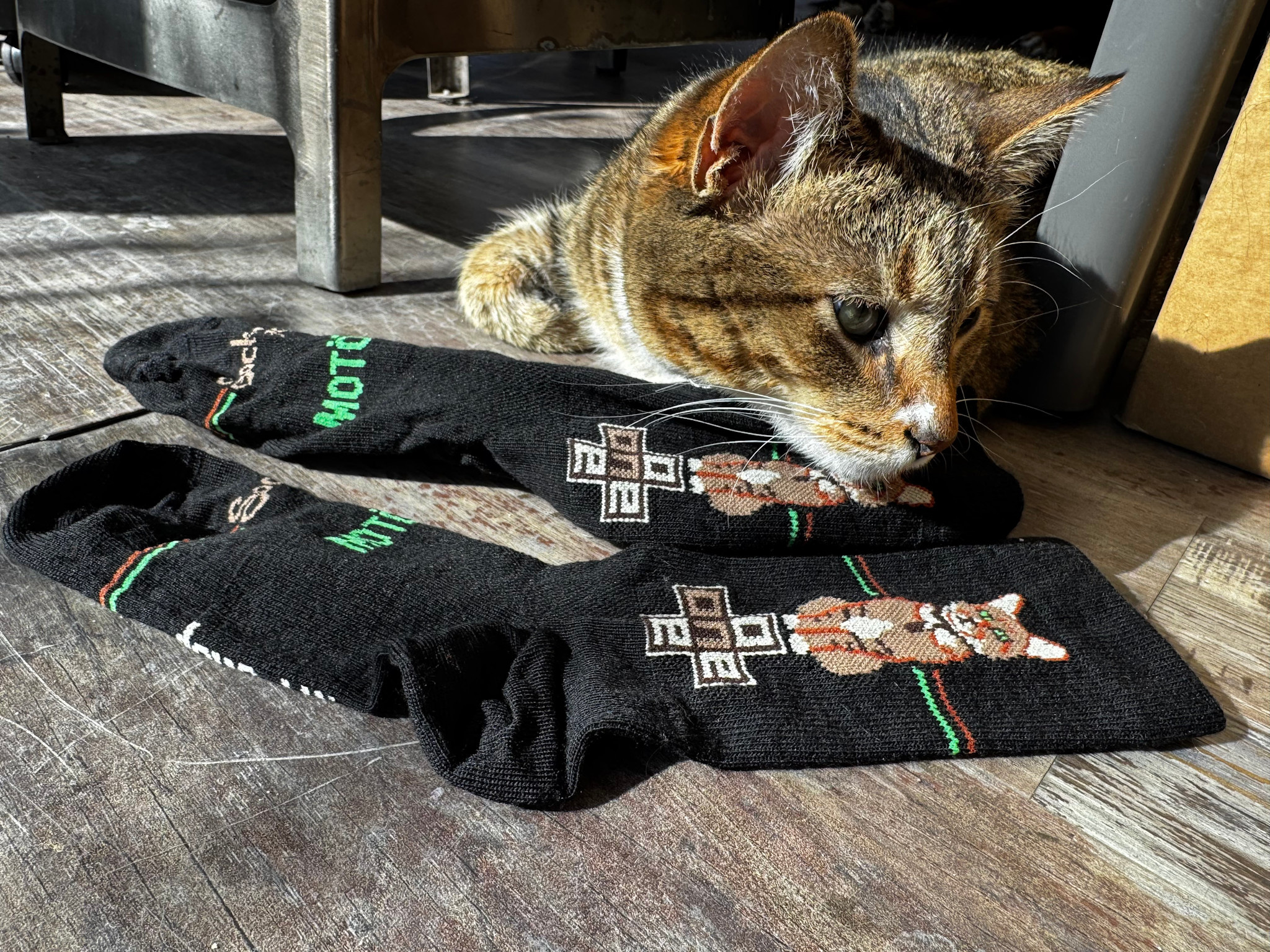 SockGuy Motorhead Wool Sock LG/XL - One On One Bicycle Studio