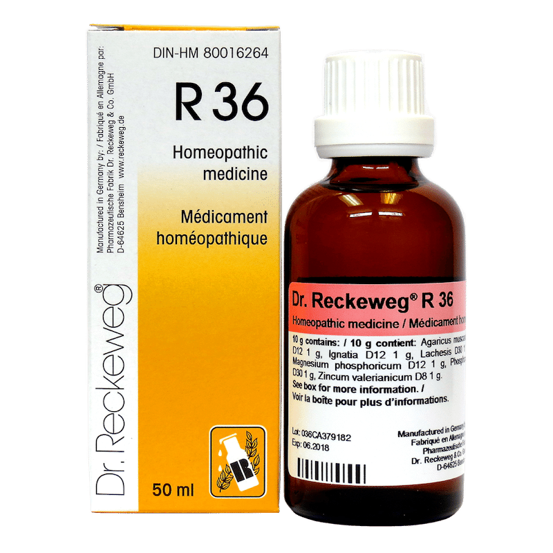 RECKEWEG RECKEWEG R36 50ML - BMS Resources