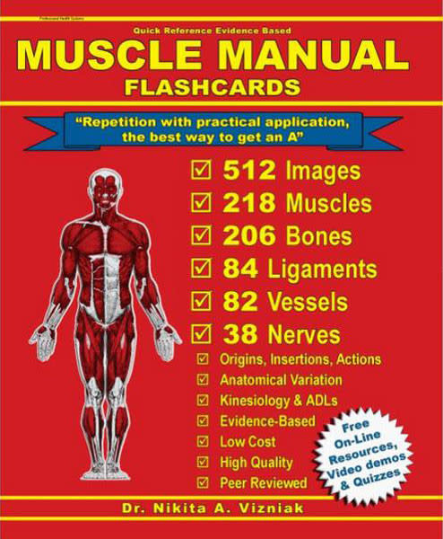 PROHEALTHSYS PROHEALTHSYS MUSCLE MANUAL FLASHCARDS - BMS Resources