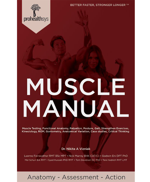 PROHEALTHSYS PROHEALTHSYS MUSCLE MANUAL ANATOMY WORKBOOK - BMS Resources