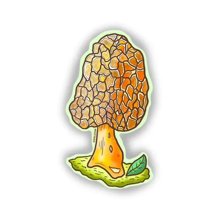 Morel Mushroom Sticker - Tumbleweed Shop & Studio