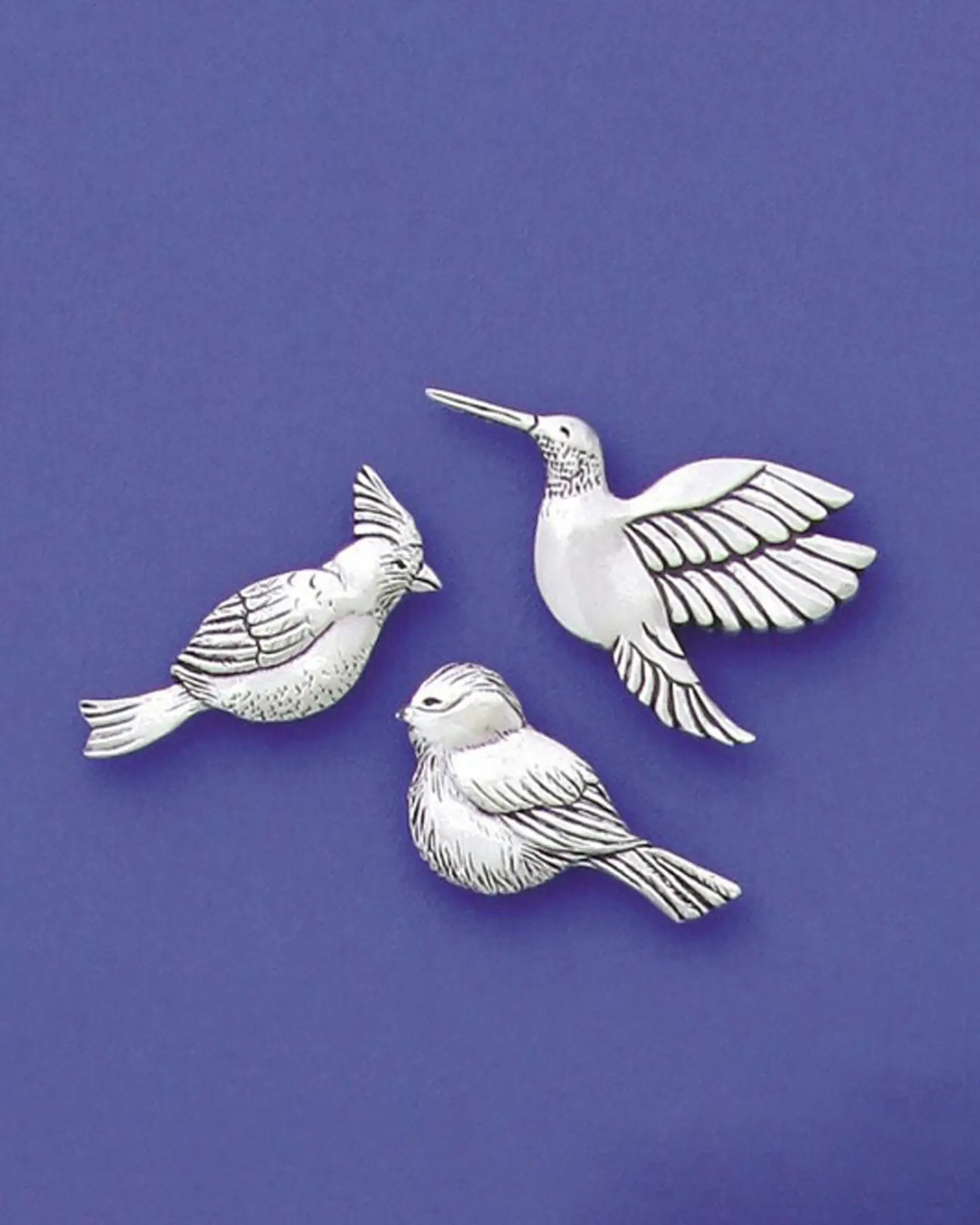 Basic Spirit Magnet Set - Coyote Moon