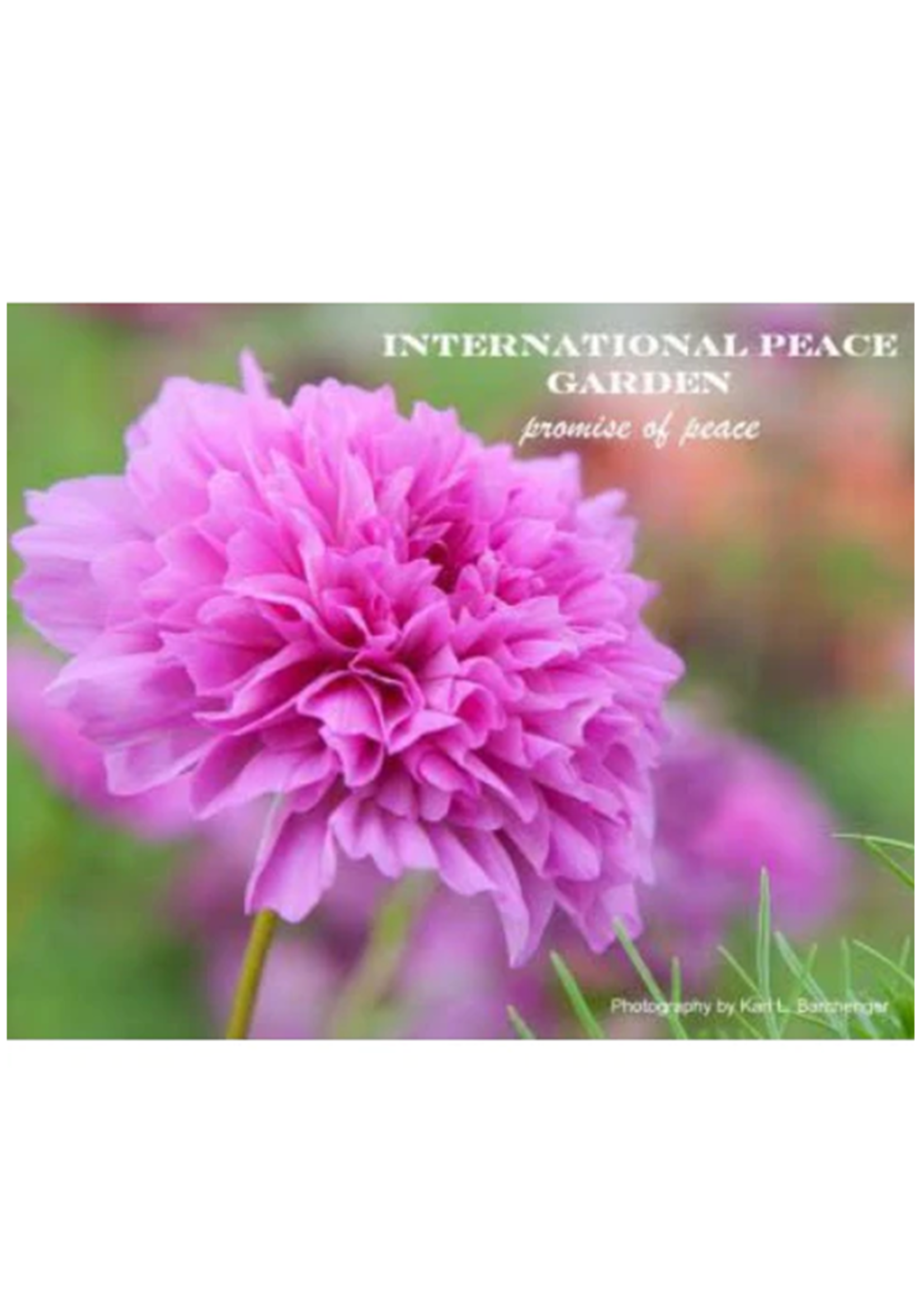 International Peace Garden: Promise of Peace - North Dakota State Museum