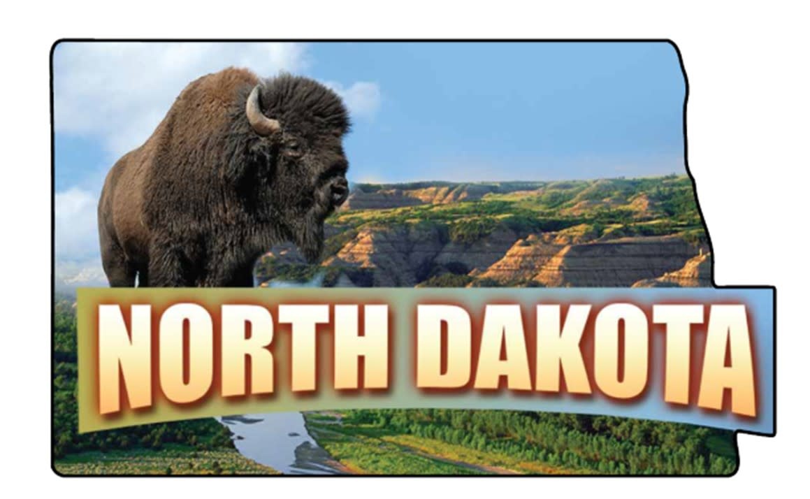 Bison in Badlands Photographic North Dakota Acrylic Magnet - North ...