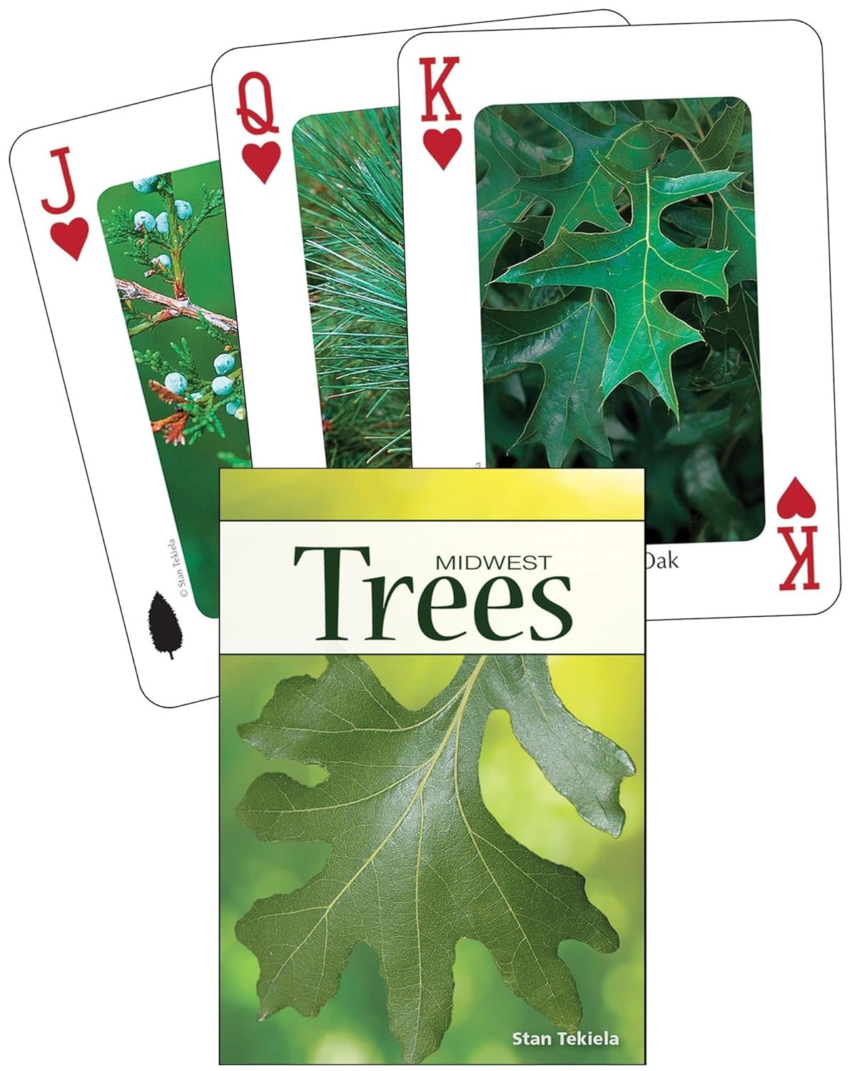 Trees of the Midwest Playing Cards - North Dakota State Museum