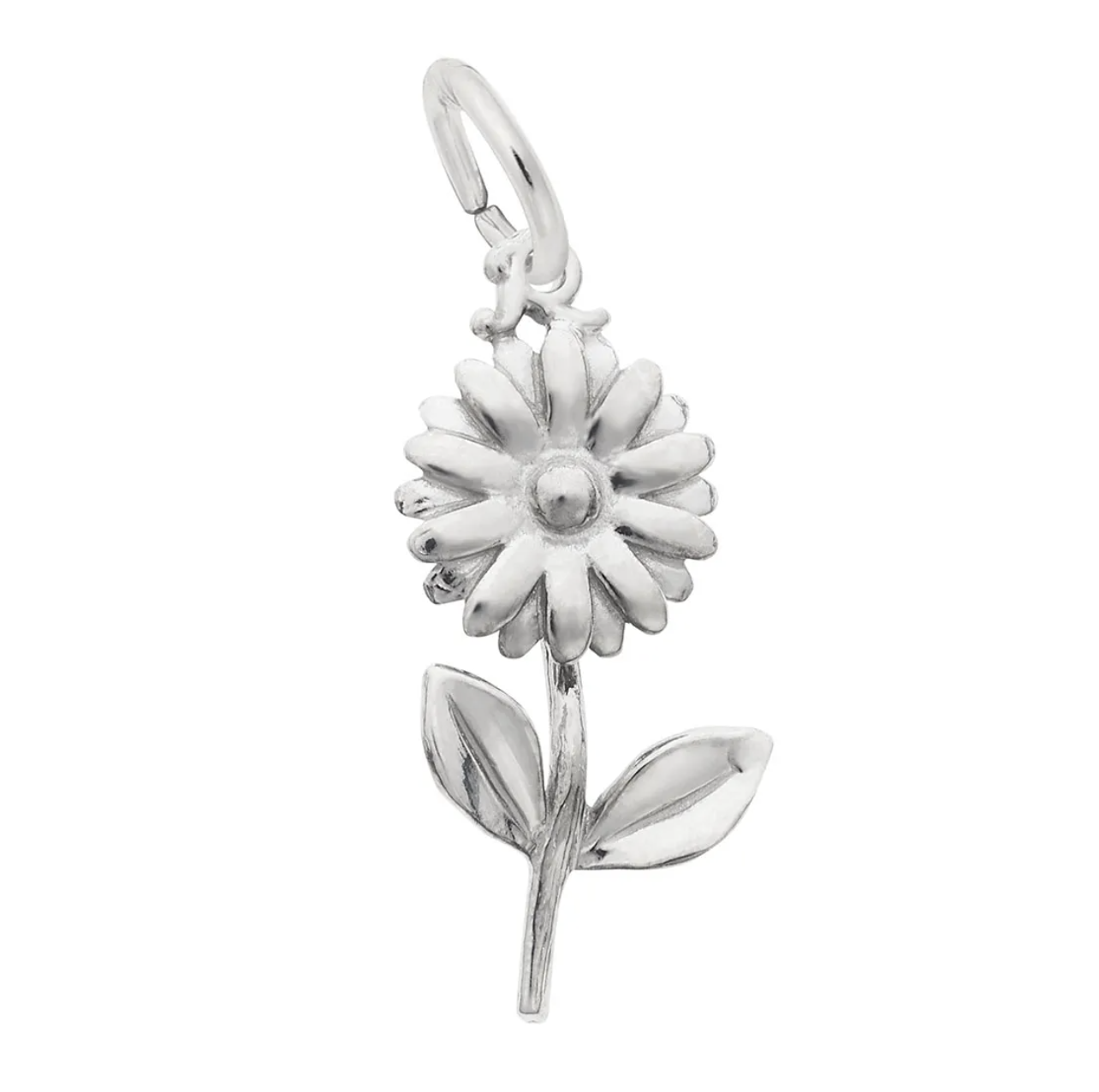 Rembrandt SS Daisy Charm - Angel Haven Specialty Jewelers