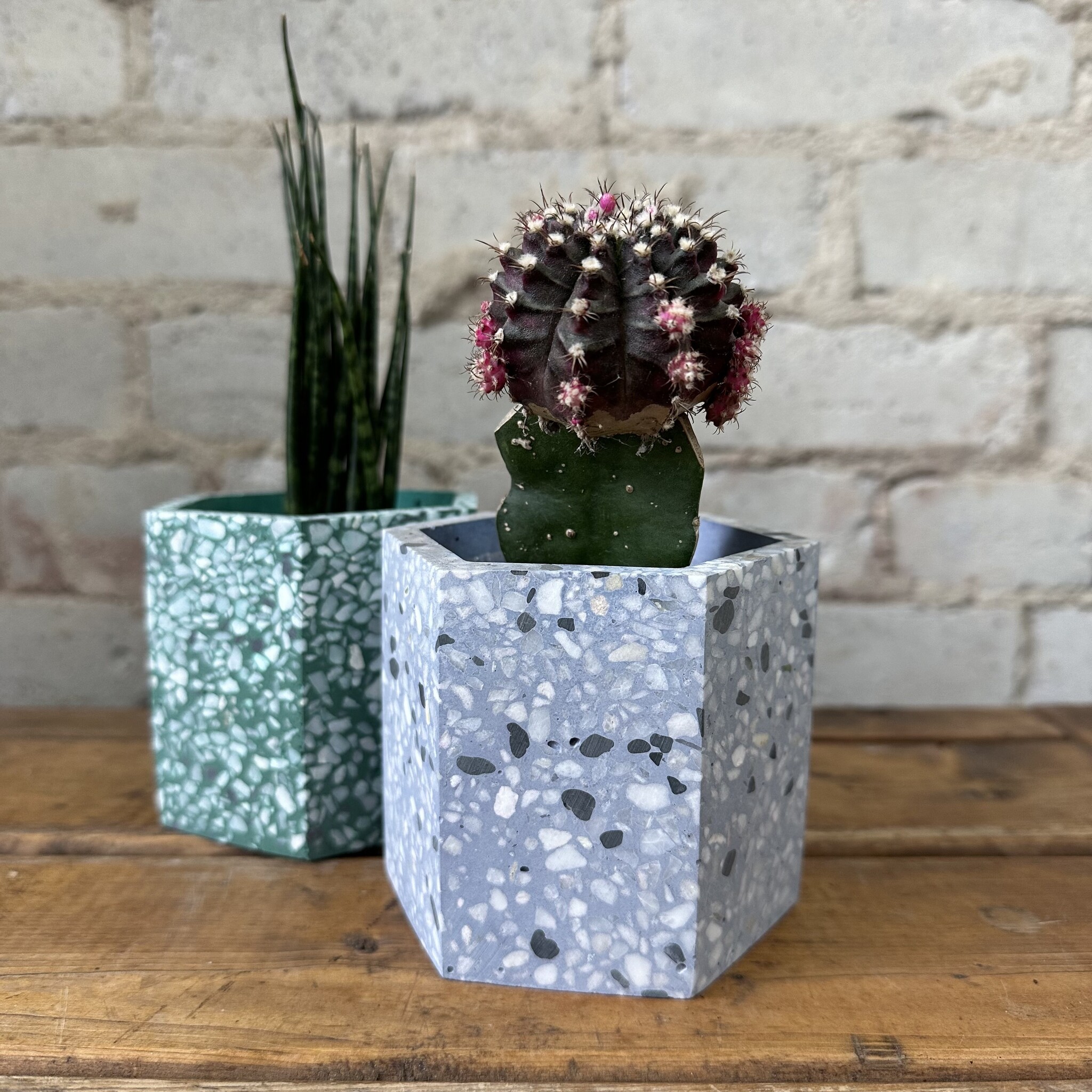 Terrazzo Mini Pot Purple (fits 2.5") - Urban Gardener