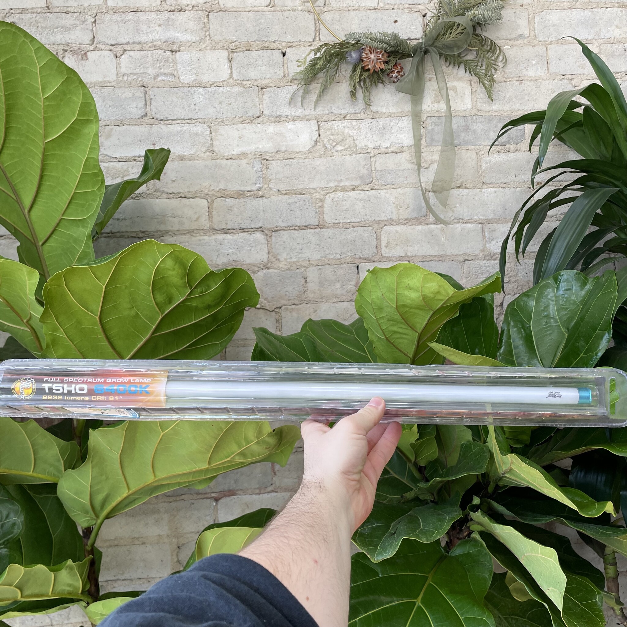Lighting: Sunblaster replacement strip bulb 24" - Urban Gardener