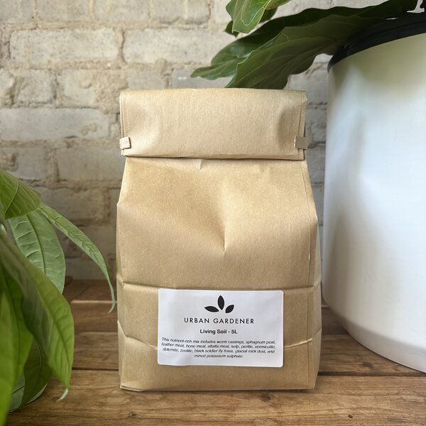 Houseplant Soil and Growing Media - Urban Gardener