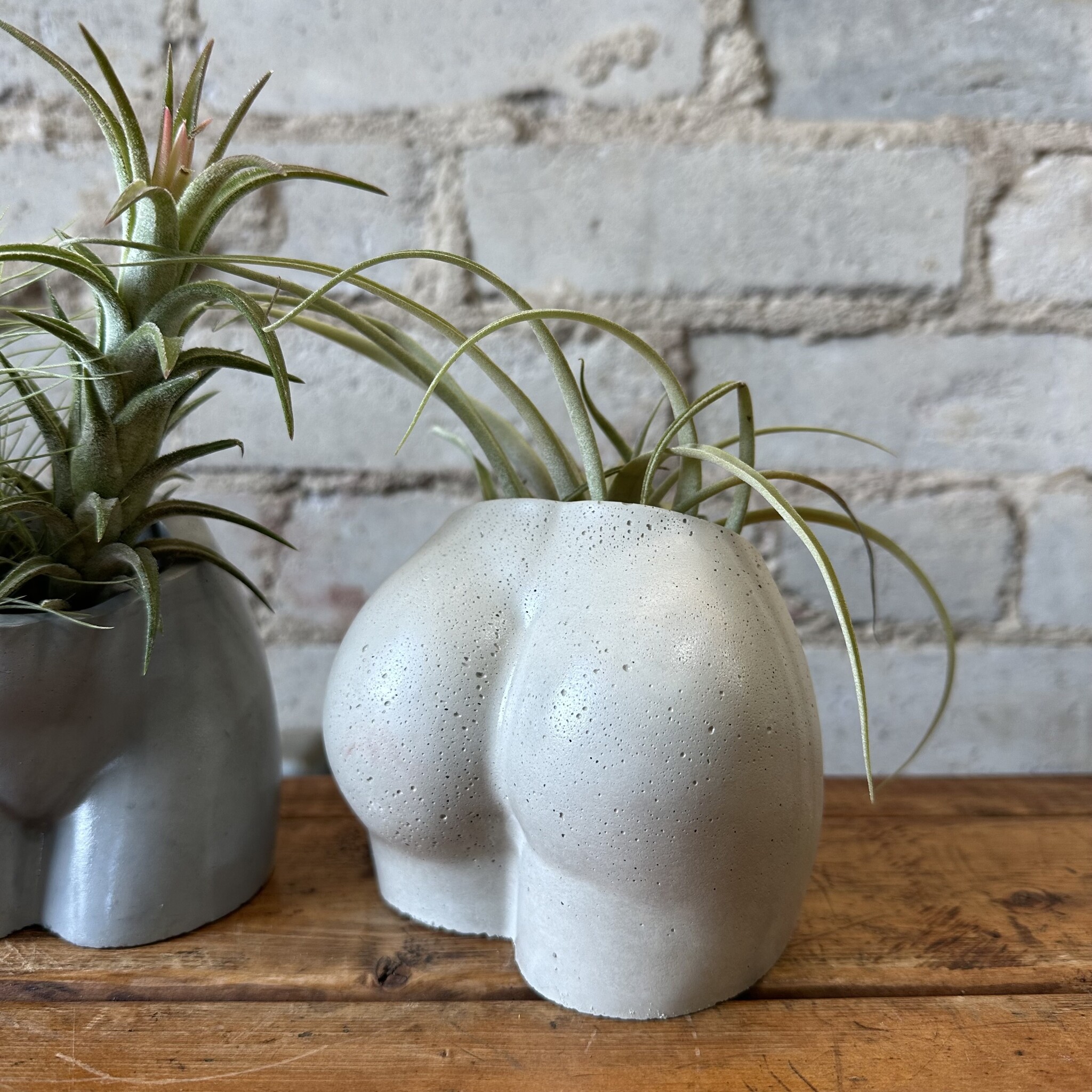 Homebody Collective: Body Planter (Light Grey) - Urban Gardener