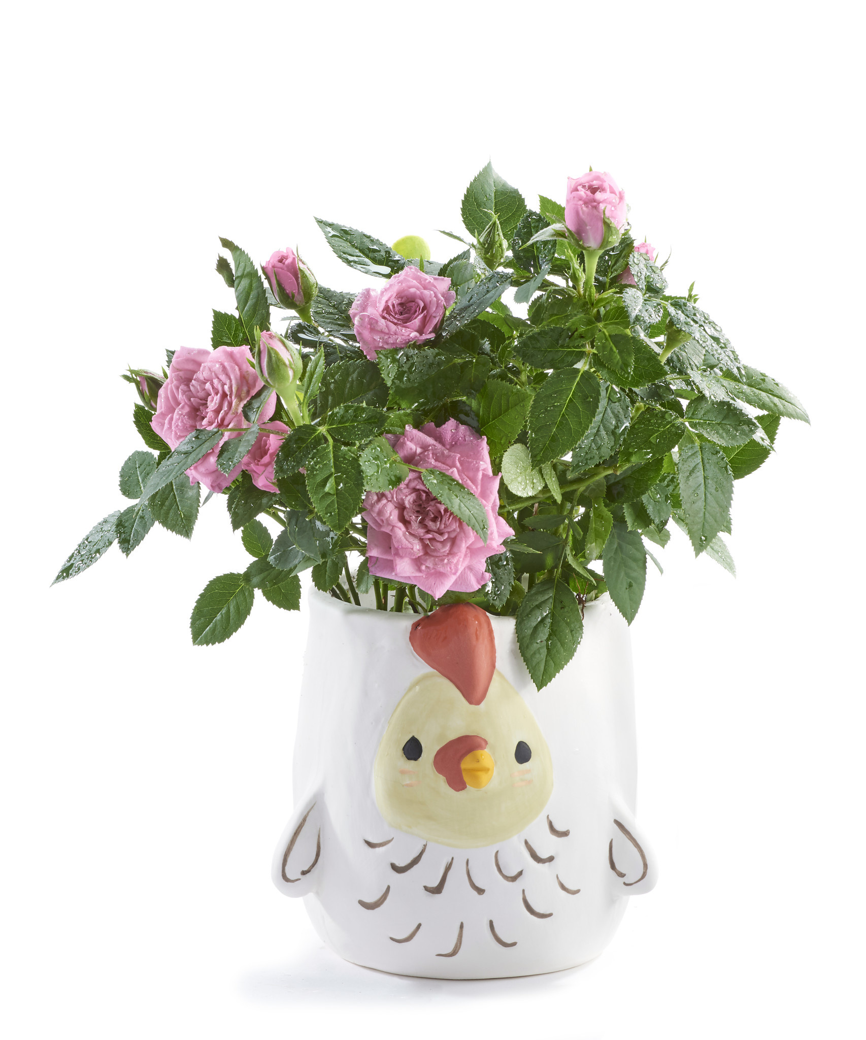 Chicken Planter Chicken Planter - Farmhouse Furniture and Gifts