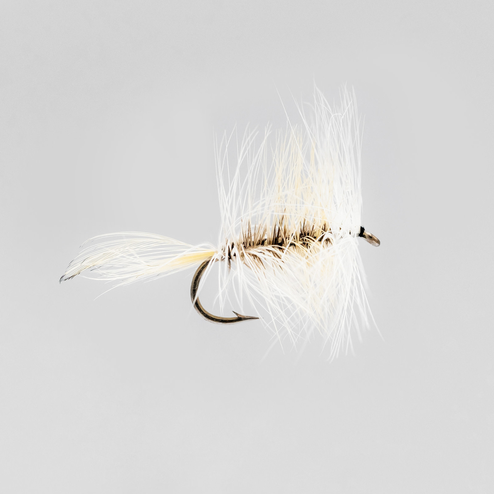 Neptune Bivisible Dry Fly Badger Hook #12 - Pronature Plessisville ...