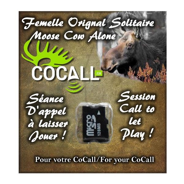Carte De Son Cocall Orignal Femelle Solitaire - Pronature Plessisville ...