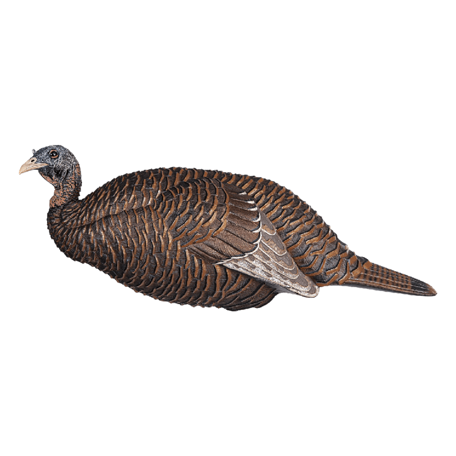 Appelant Flextone Thunder Chick Breeder - Pronature Plessisville ...