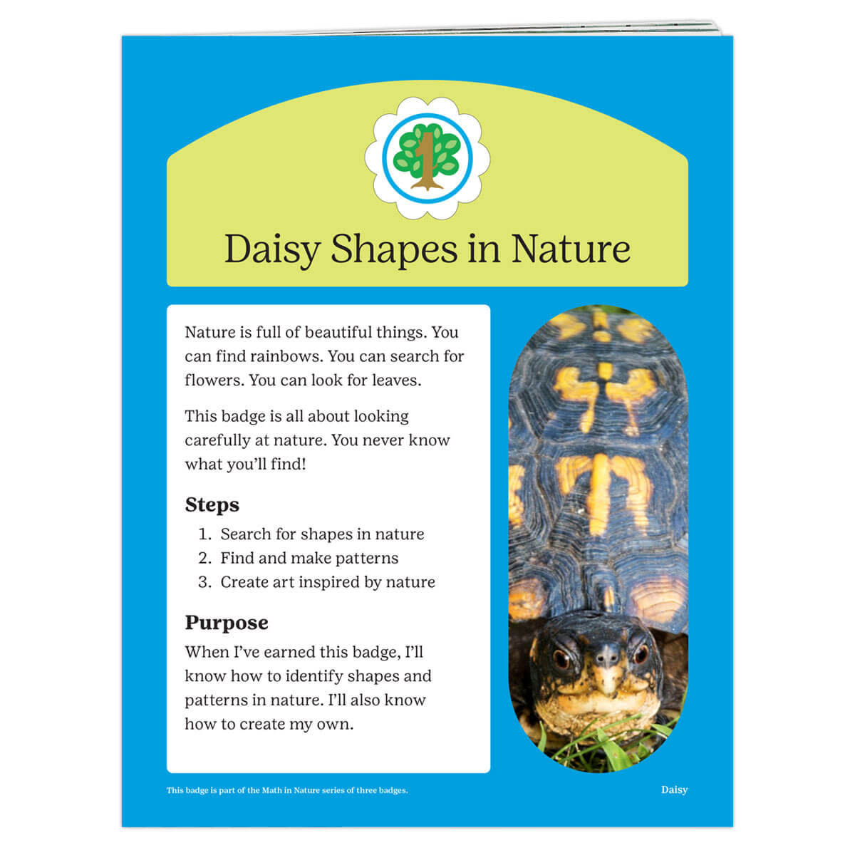 Daisy Shapes in Nature Badge Requirements - Girl Scouts of Middle Tennesee
