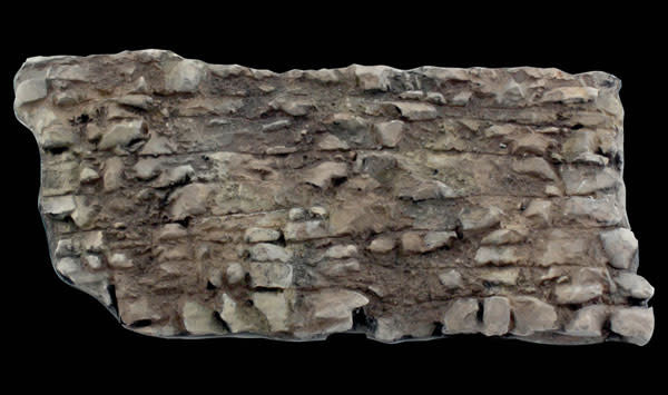 Woodland Scenics 1248 Rock Mold, Rock Face - Chuck's Trains & Hobby Depot