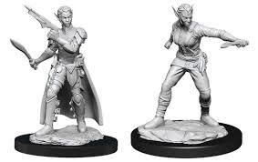 D&D Dungeons & Dragons Shifter Rogue Female - Chuck's Trains & Hobby Depot