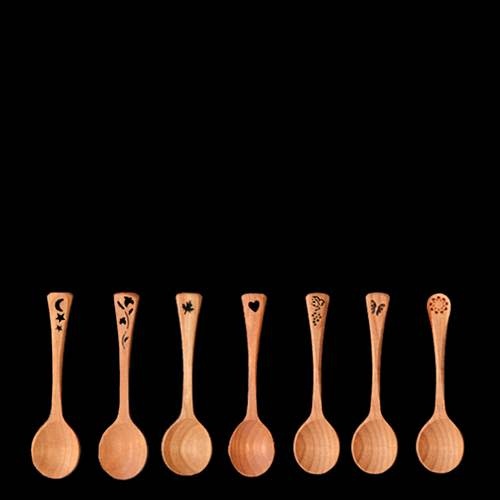 Moonspoon Inc. Salt Spoon - Silver Bonsai Gallery