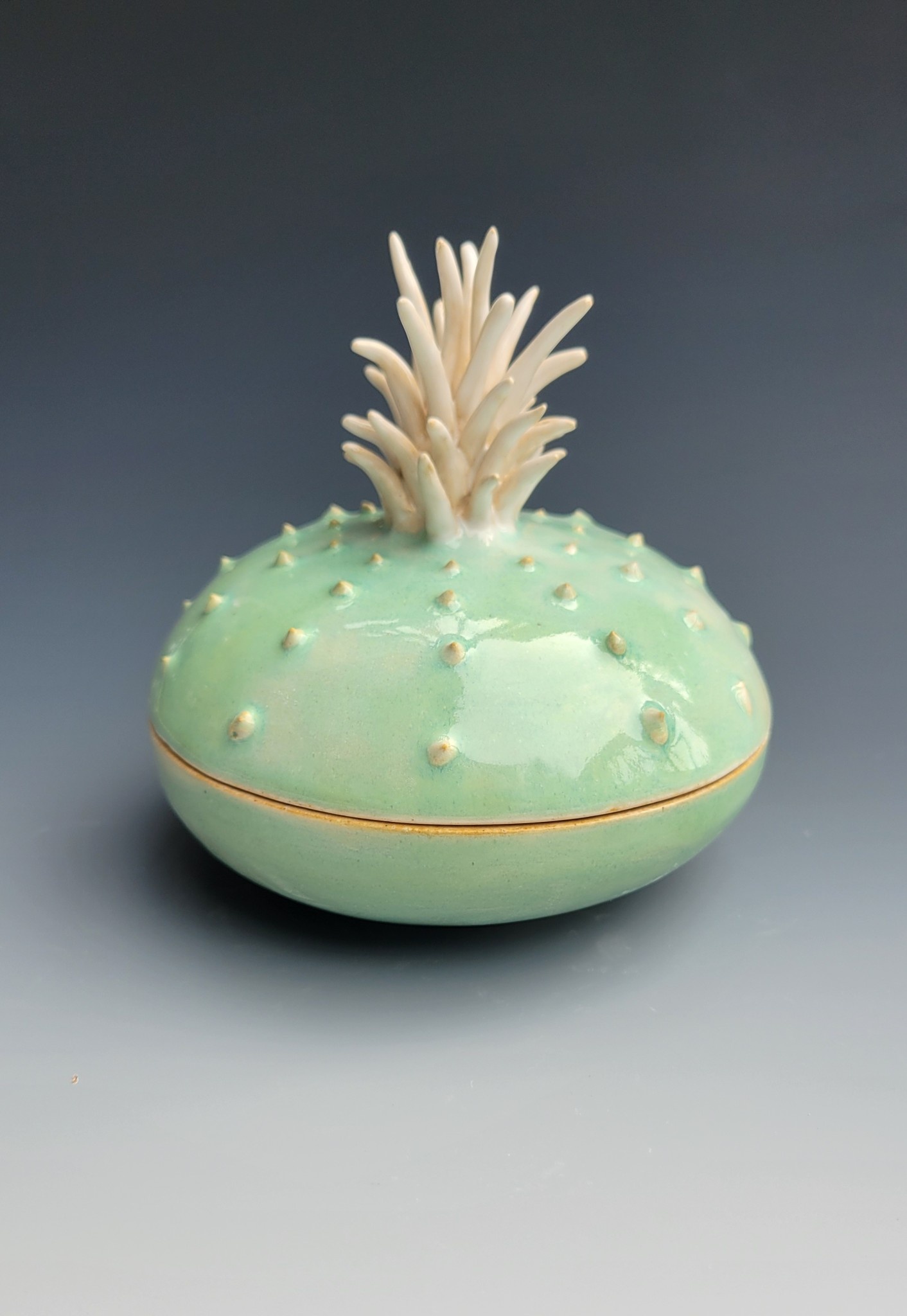 Pamela Lassiter Pottery Urchin Box - Pamela Lassiter Pottery - Silver ...