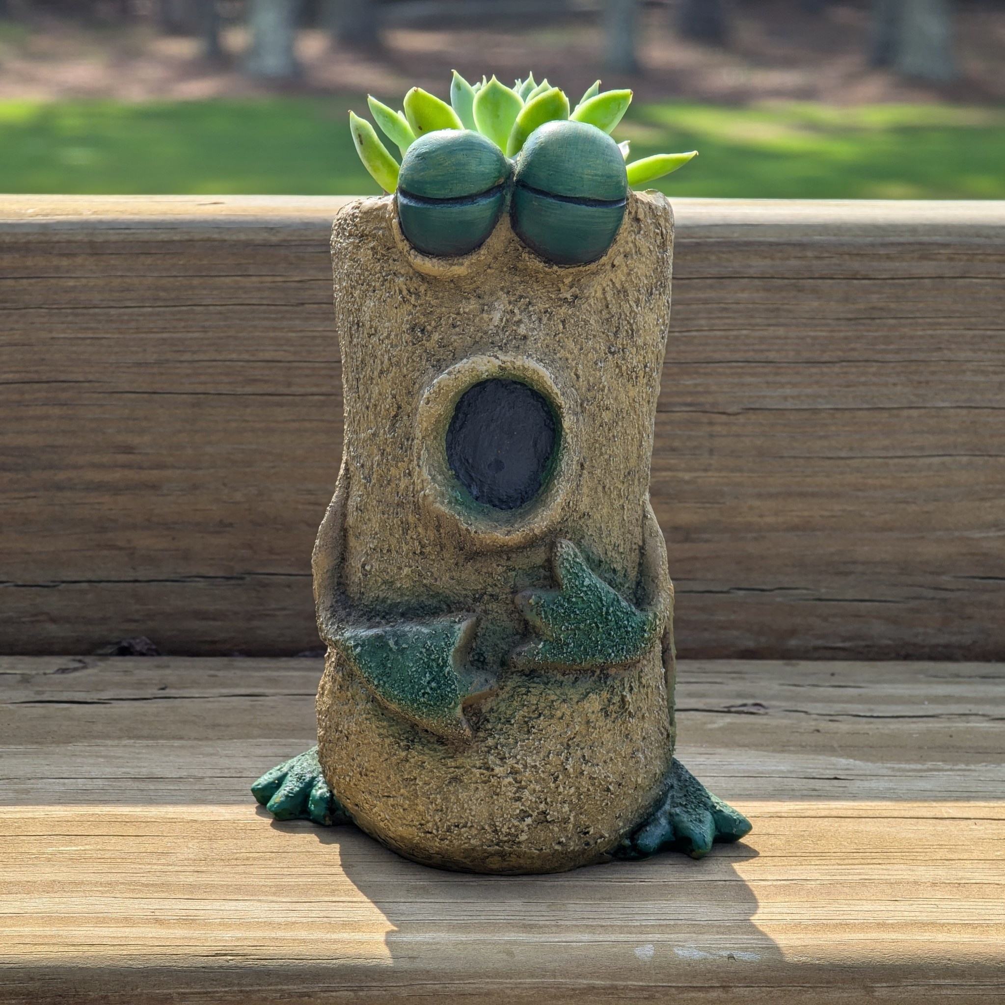 Luciano the Singing Frog Planter w/ Succulent - Silver Bonsai Gallery