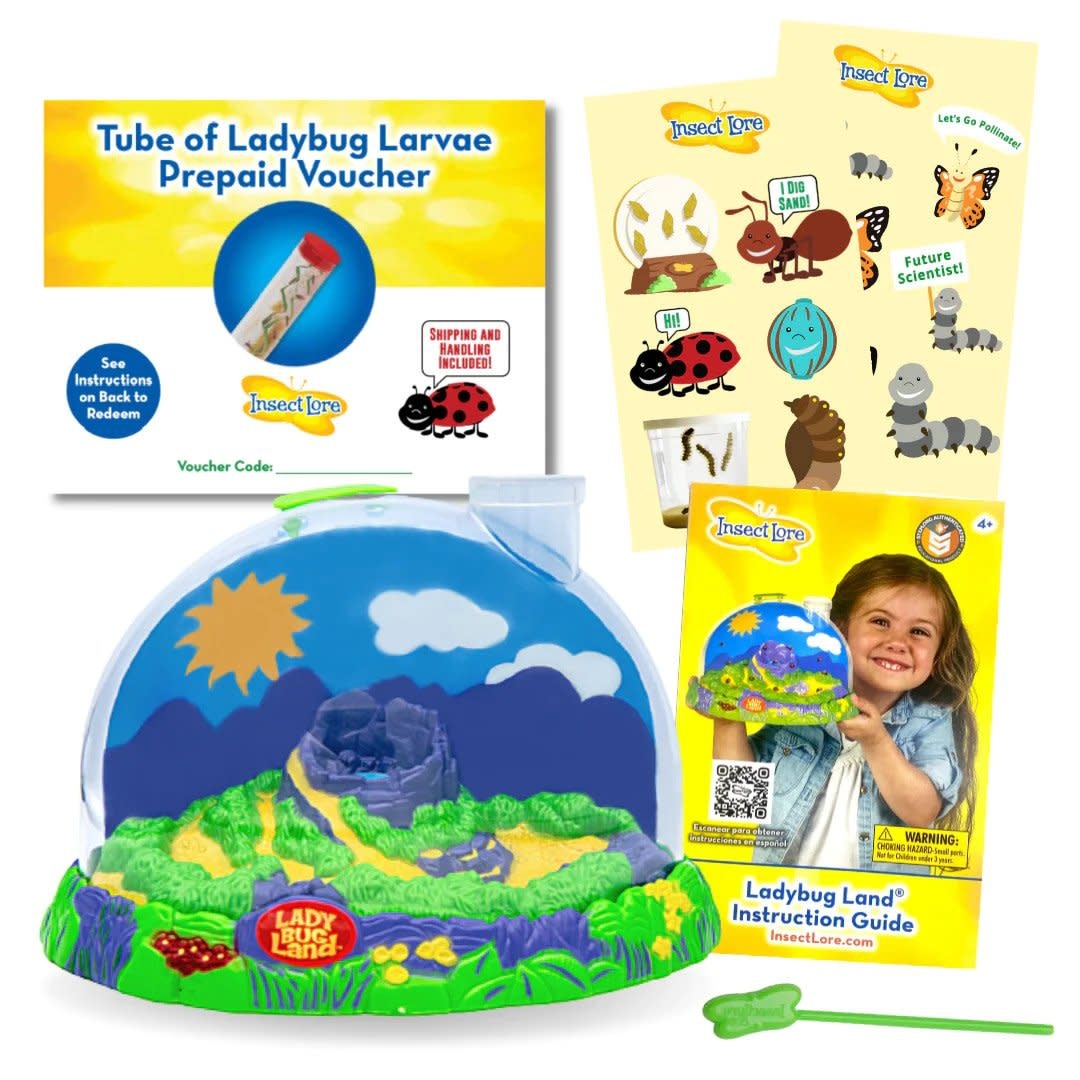 LADYBUG LAND WITH PREPAID VOUCHER (D3) - Garden Specialties