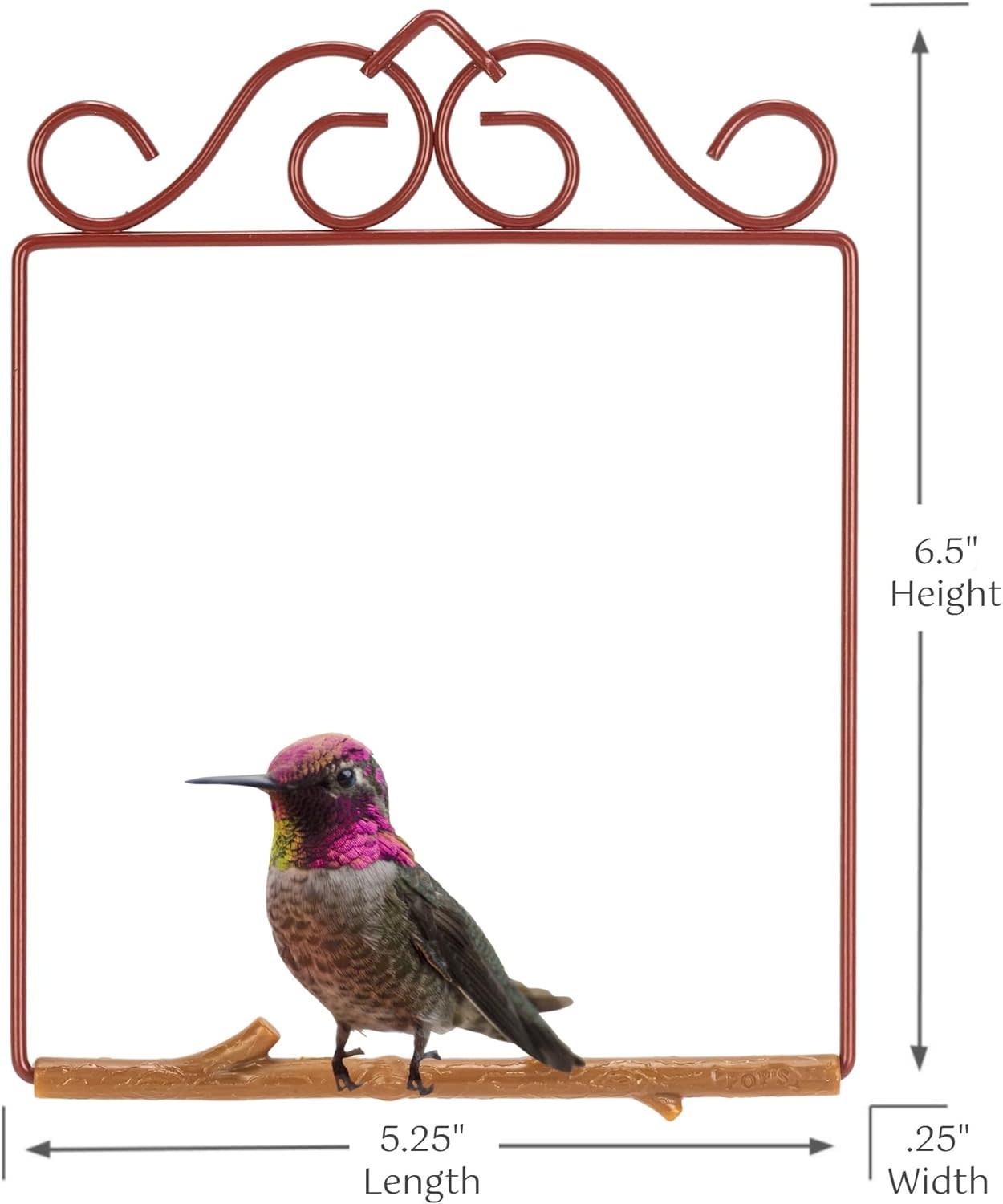 Hummingbird Swing - Redwood ORG (H27) - Garden Specialties