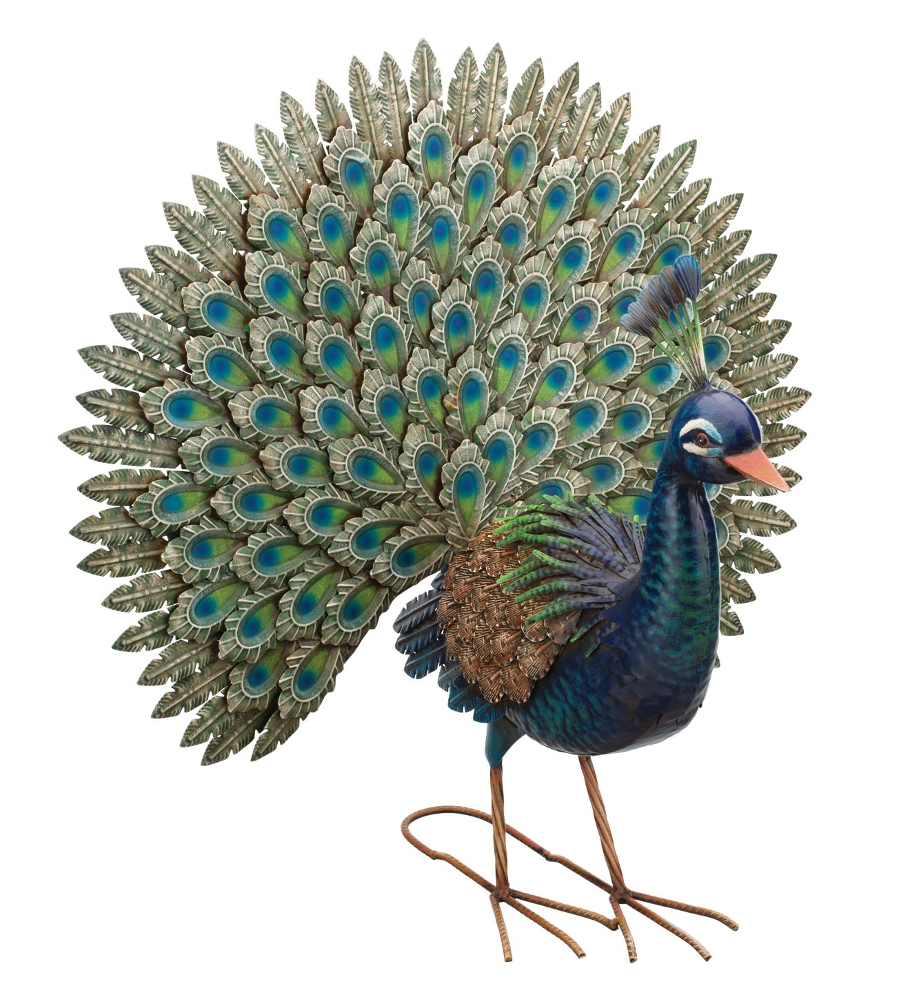Peacock Pride - Garden Specialties