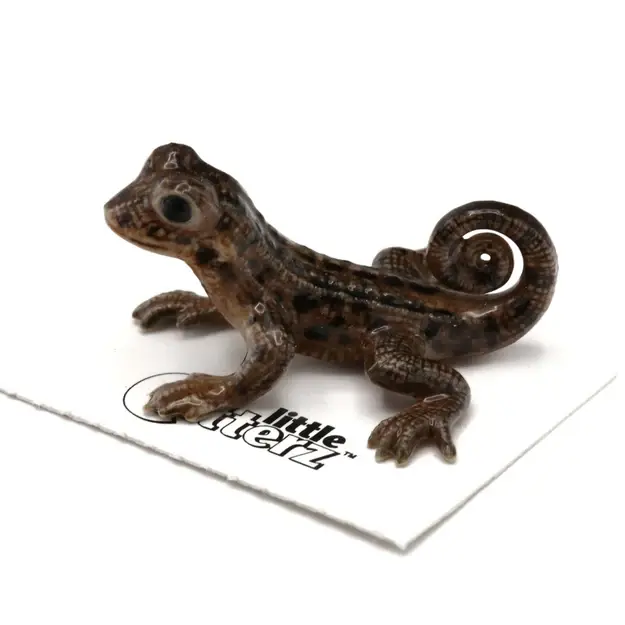 Curly-Tailed Lizard- - Garden Specialties