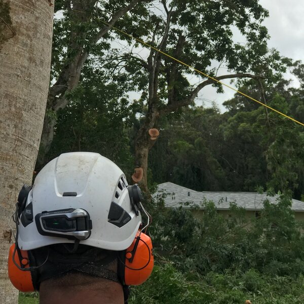 Climb Aloha - Climb Aloha