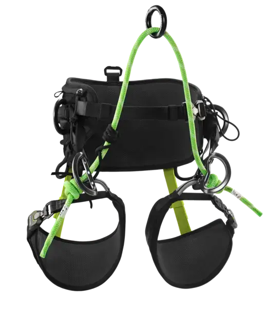 TreeRex II - Climb Aloha