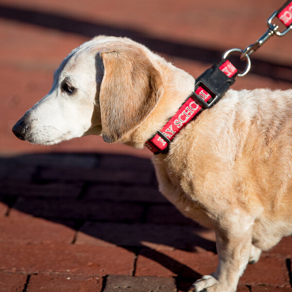 Fay School - Fay School