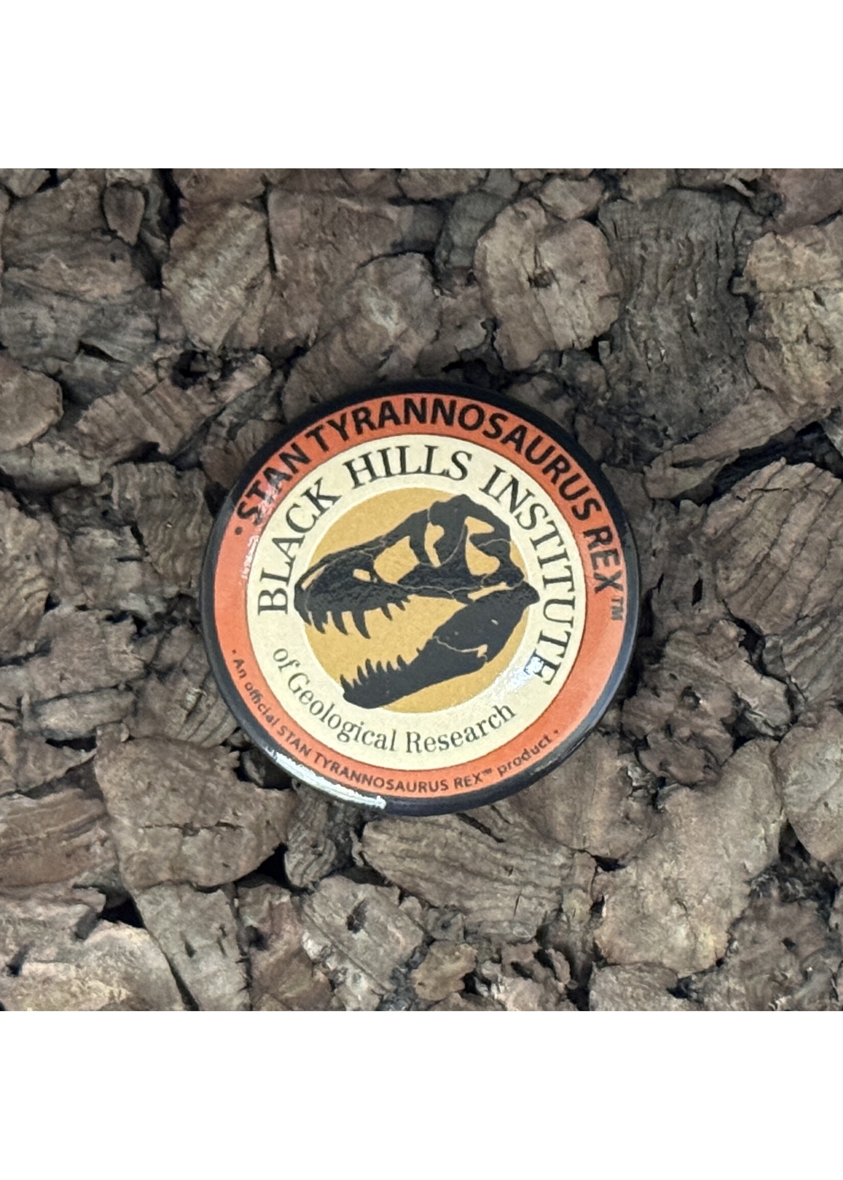 STAN Tyrannosaurus rex TM - Button - Accessories - Everything Prehistoric