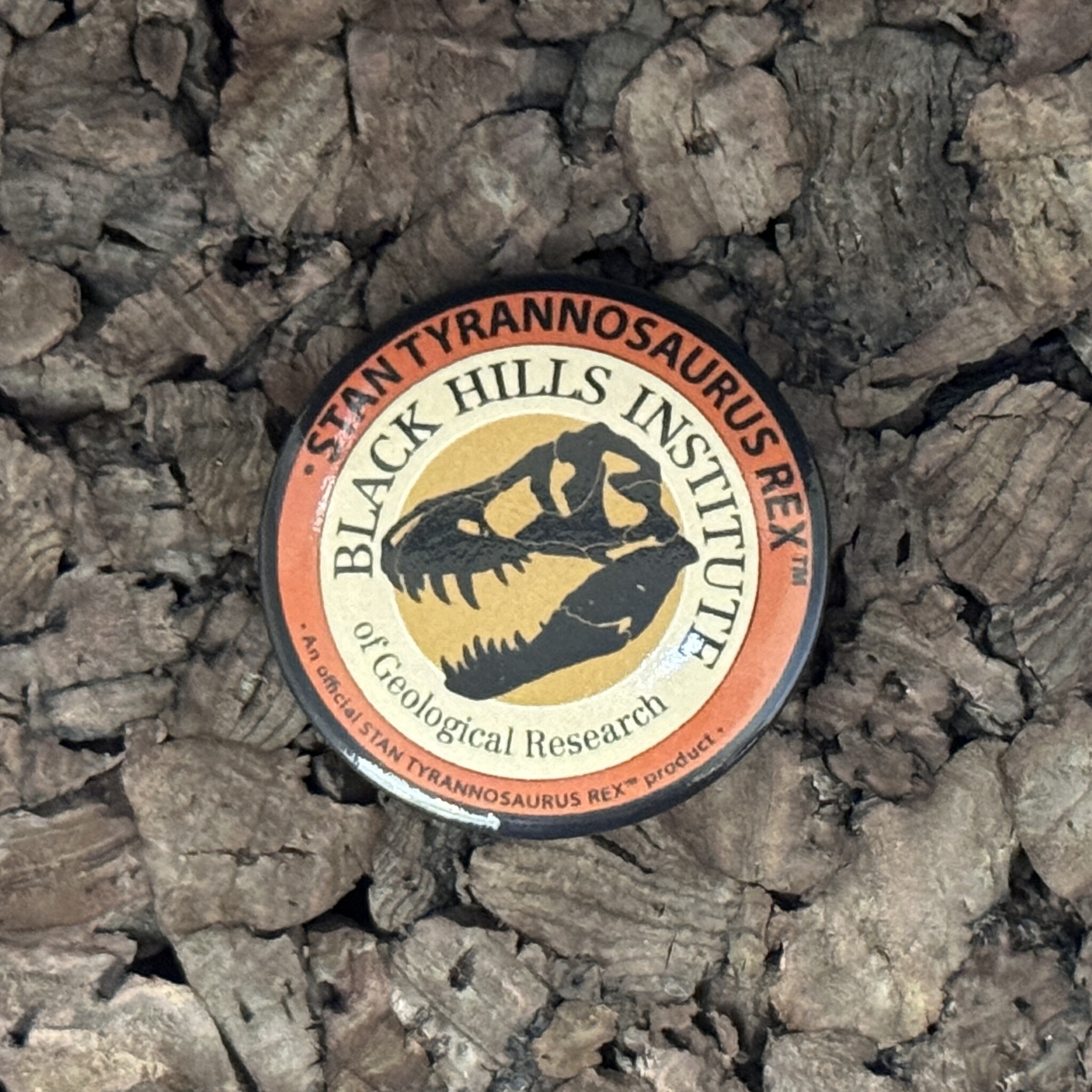 STAN Tyrannosaurus rex TM - Button - Accessories - Everything Prehistoric