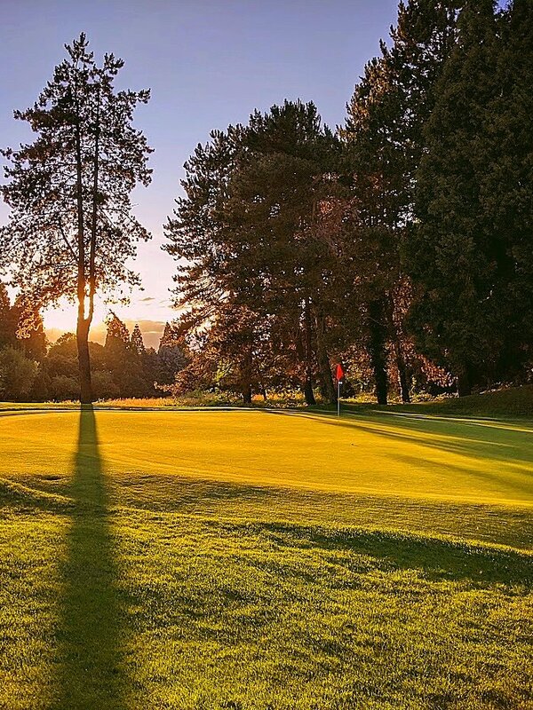 Multi Play Cards - Eastmoreland Online Store