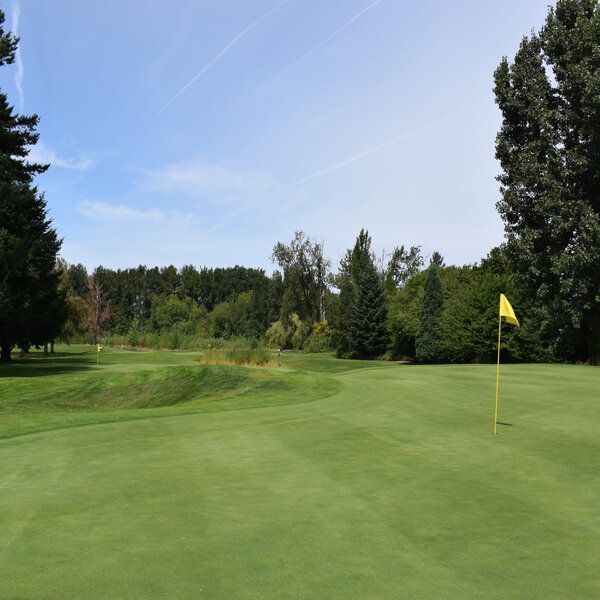 Multi-Play Cards - Colwood Online Store