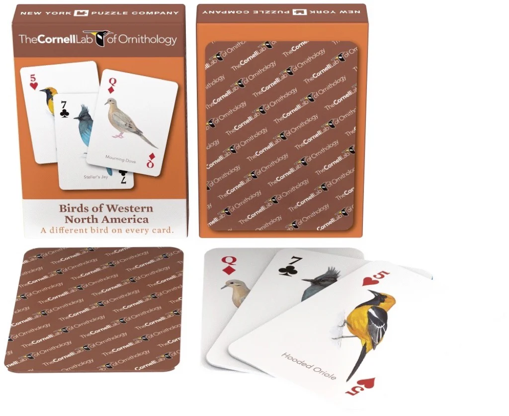 PLAYING CARDS BIRDS OF WESTERN NORTH AMERICA - Hullabaloo Toys