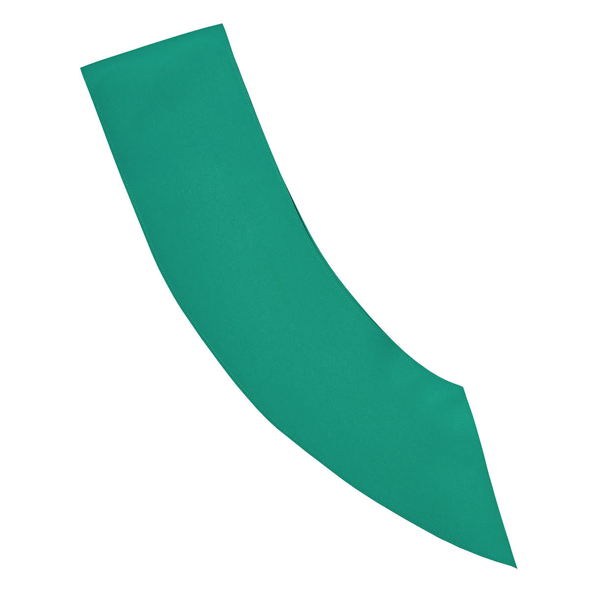 Junior Sash - Girl Scouts of Wisconsin-Badgerland