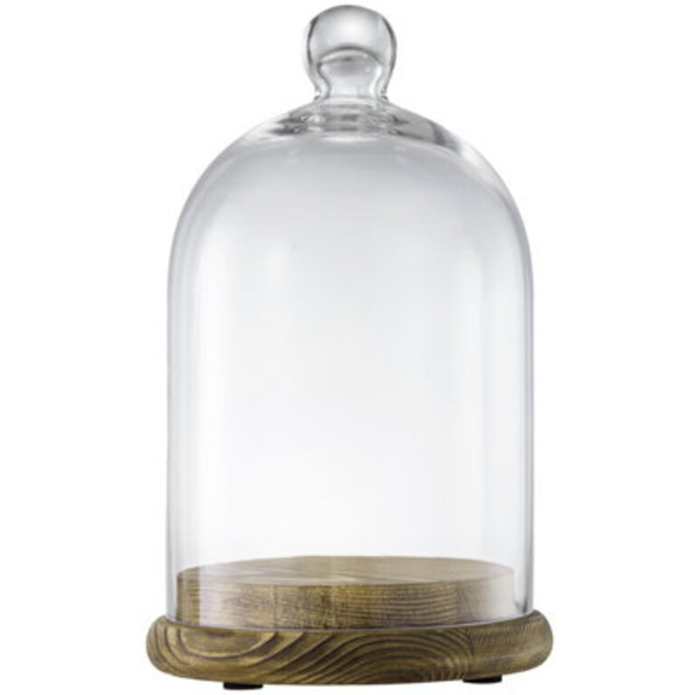 Emeth Glass Dome Bell Jar Display Case - Wayfair Outlet - Greensboro, NC