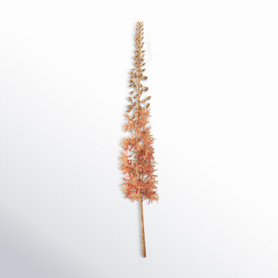 Eremurus Arrangement Flower Color: Pink - Wayfair Outlet - Florence, KY