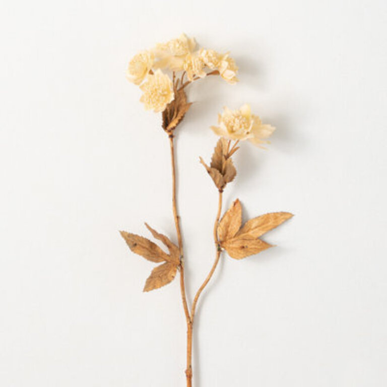 20" Cream Plush Clover Spray; Cream - Wayfair Outlet - Augusta, GA